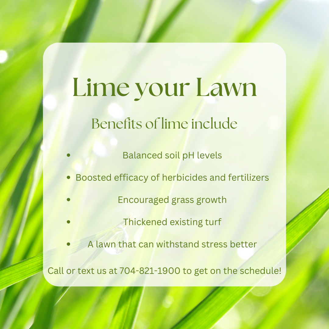 Customer Assistant - Login